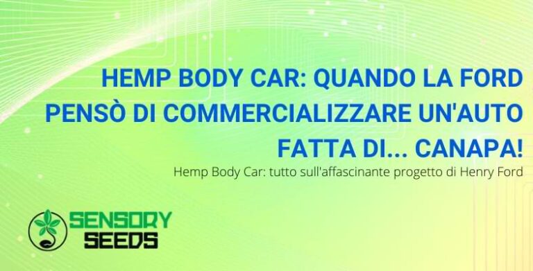La Storia della Hemp Body Car | Auto in Canapa della Ford